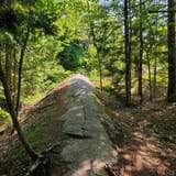 Moxham Mountain Trail, New York - 1,600 Reviews, Map | AllTrails