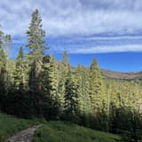 Butler Gulch Trail, Colorado - 3,174 Reviews, Map | AllTrails