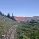 Butler Gulch Trail, Colorado - 3,174 Reviews, Map | AllTrails