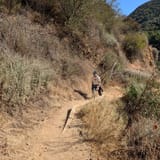 Temescal Canyon Trail, California - 11,297 Reviews, Map | AllTrails