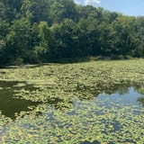 Lake Ontelaunee Trail, Pennsylvania - 185 Reviews, Map | AllTrails