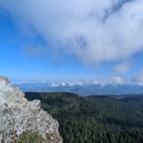 Larch Mountain Trail, Oregon - 767 Reviews, Map | AllTrails