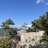Riprap Trail , Virginia - 1,780 Reviews, Map | AllTrails