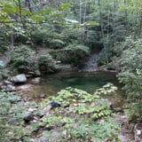 Riprap Trail , Virginia - 1,780 Reviews, Map | AllTrails