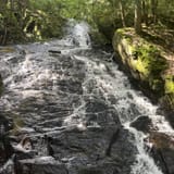 South Kent Pond via Appalachian Trail, Vermont - 646 Reviews, Map ...