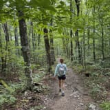 Mount Greylock via Bellows Pipe Trail, Massachusetts - 2,530 Reviews ...