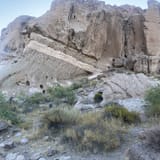 White Cliffs Wagon Trail, Arizona - 278 Reviews, Map | AllTrails