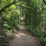 Washington Park Loop, Oregon - 1,970 Reviews, Map | AllTrails