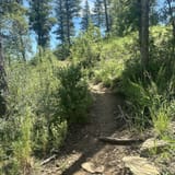 Grindstone Canyon Loop, New Mexico - 1,735 Reviews, Map | AllTrails