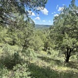 Grindstone Canyon Loop, New Mexico - 1,735 Reviews, Map | AllTrails