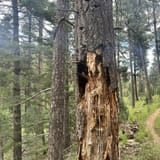 Grindstone Canyon Loop, New Mexico - 1,735 Reviews, Map | AllTrails