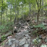 Raven Rocks via Appalachian Trail, Virginia - 6,480 Reviews, Map ...