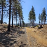 Bizz Johnson Trail, California - 186 Reviews, Map | AllTrails