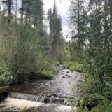 Government Springs 95A, Arizona - 651 Reviews, Map | AllTrails