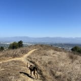 Powder Canyon Loop Trail, California - 2,400 Reviews, Map | AllTrails