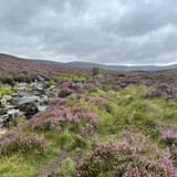 Lough Ouler and Tonelagee Loop, County Wicklow, Ireland - 1,192 Reviews ...