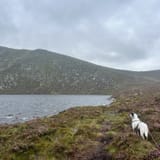 Lough Ouler and Tonelagee Loop, County Wicklow, Ireland - 1,192 Reviews ...