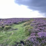 Lough Ouler and Tonelagee Loop, County Wicklow, Ireland - 1,192 Reviews ...