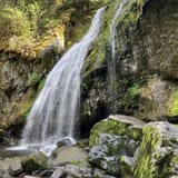Little Mashel Falls Trail via Bud Blancher Trail, Washington - 4,367 ...