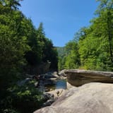 Spence Ridge Trail, North Carolina - 321 Reviews, Map | AllTrails