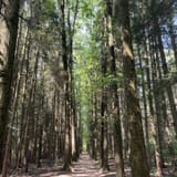 Plateau Trail, Ohio - 3,542 Reviews, Map | AllTrails