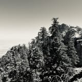 Desert View Trail, California - 1,679 Reviews, Map | AllTrails