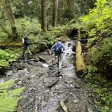 Sultan River Canyon Trail, Washington - 276 Reviews, Map | AllTrails