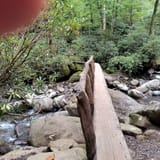 Devil's Racetrack Trail, Tennessee - 591 Reviews, Map | AllTrails