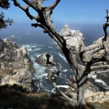 Point Lobos Loop, California - 9,066 Reviews, Map | AllTrails