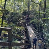 River and Matildaville Trail, Virginia - 1,013 Reviews, Map | AllTrails