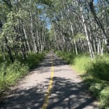 Glenmore Reservoir Loop, Alberta, Canada - 3,068 Reviews, Map | AllTrails