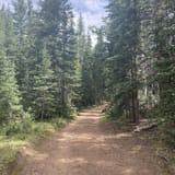 Raspberry Mountain Trail via Ring the Peak Trail, Colorado - 2,126 ...