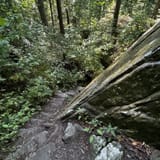 Fiery Gizzard Loop, Tennessee - 1,321 Reviews, Map | AllTrails