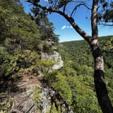 Fiery Gizzard Loop, Tennessee - 1,321 Reviews, Map | AllTrails