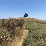 Timberhill Park Trail, California - 228 Reviews, Map | AllTrails