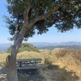 Timberhill Park Trail, California - 226 Reviews, Map | AllTrails