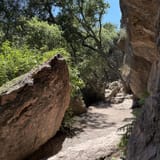 Moses Spring Trail to Bear Gulch Reservoir, California - 909 Reviews ...