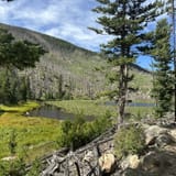 Cub Lake Loop, Colorado - 2,306 Reviews, Map | AllTrails
