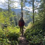 Skookum Falls via Skookum Flats Trail, Washington - 120 Reviews, Map ...