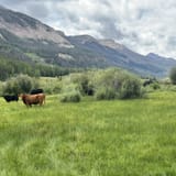 Stony Pass OHV, Colorado - 83 Reviews, Map | AllTrails