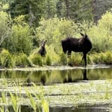 Stony Pass OHV, Colorado - 83 Reviews, Map | AllTrails