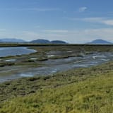 Padilla Bay Trail, Washington - 669 Reviews, Map | AllTrails