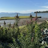 Padilla Bay Trail, Washington - 666 Reviews, Map | AllTrails