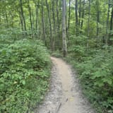 Lawrence Creek Trail, Indiana - 3,657 Reviews, Map | AllTrails