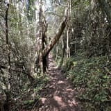 Slacker Hill via Morning Sun, Alta, SCA and Slacker Ridge, California ...
