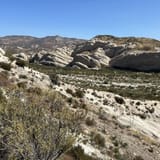 Mormon Rocks Interpretive Trail, California - 249 Reviews, Map | AllTrails
