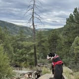 Eagle's View Trail Loop, Colorado - 3,283 Reviews, Map | AllTrails
