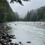 Robe Canyon Historic Trail, Washington - 1,024 Reviews, Map | AllTrails