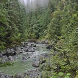 Robe Canyon Historic Trail, Washington - 1,024 Reviews, Map | AllTrails