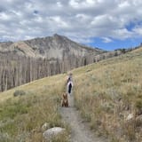 Baker Lake Trail, Idaho - 423 Reviews, Map | AllTrails